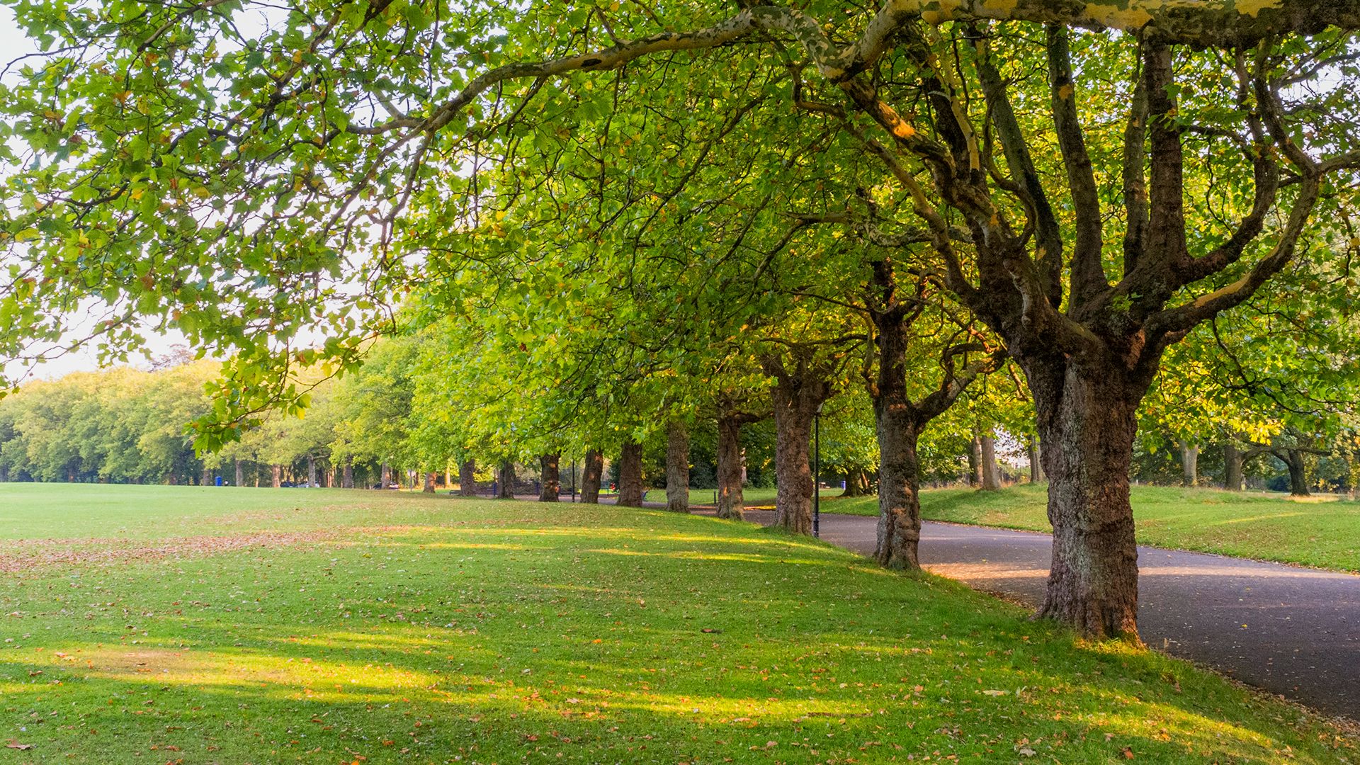 Chadwell Heath Area Guide | Douglas Allen