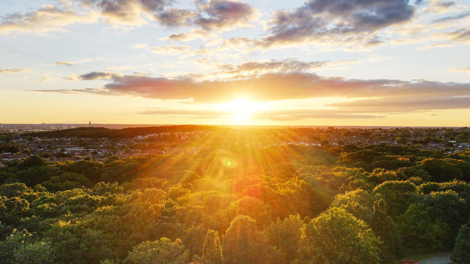 Epping Area Guide | Douglas Allen