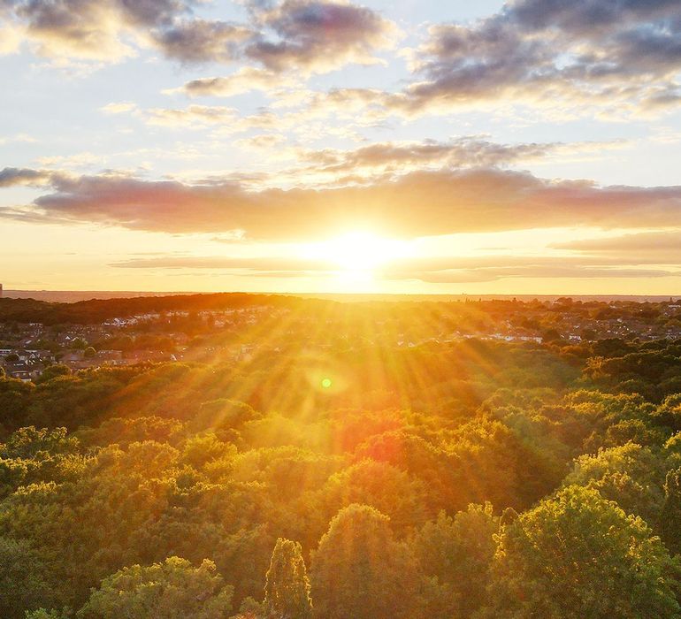 Epping Area Guide | Douglas Allen