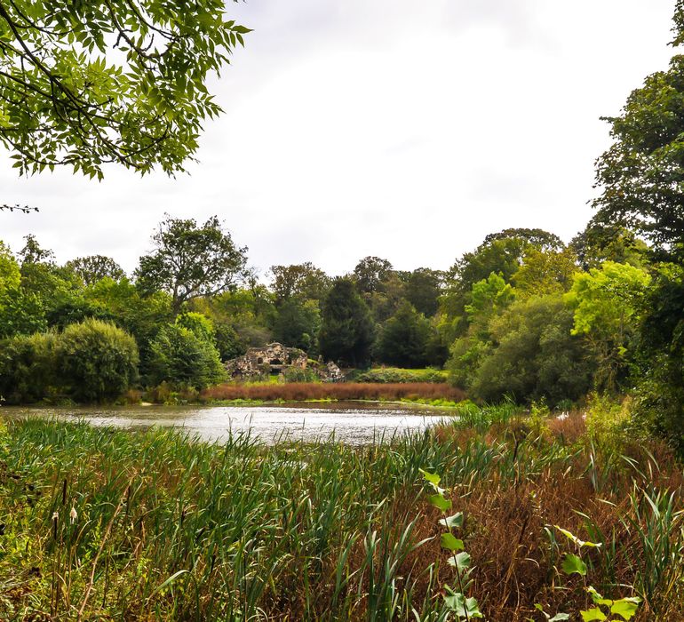 Wanstead Area Guide | Douglas Allen