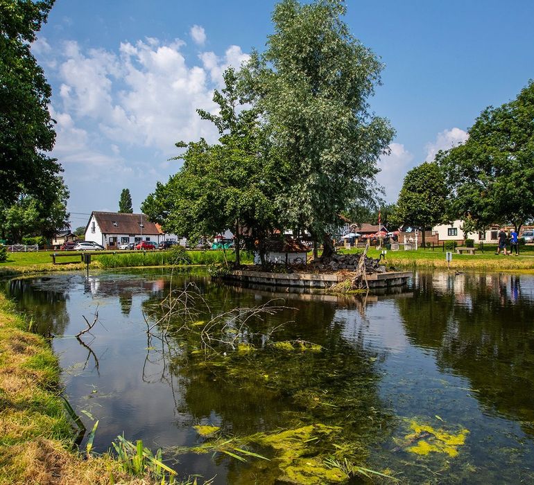 Wickford Area Guide | Douglas Allen